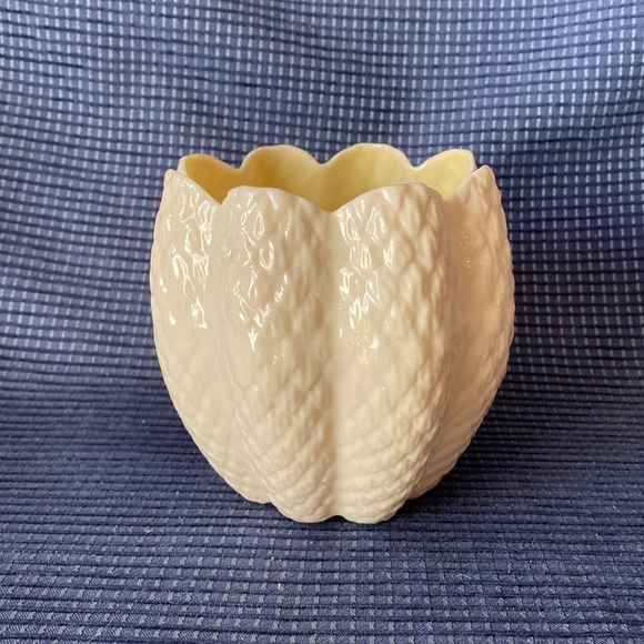 Belleek | Accents | Belleek Cone Flower Pineapple Feather Flowerpot ...